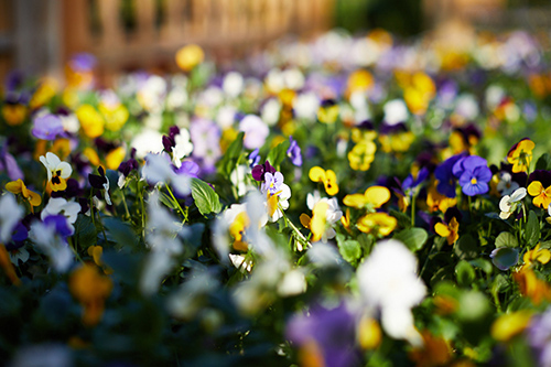 Play | The Arium Leeds