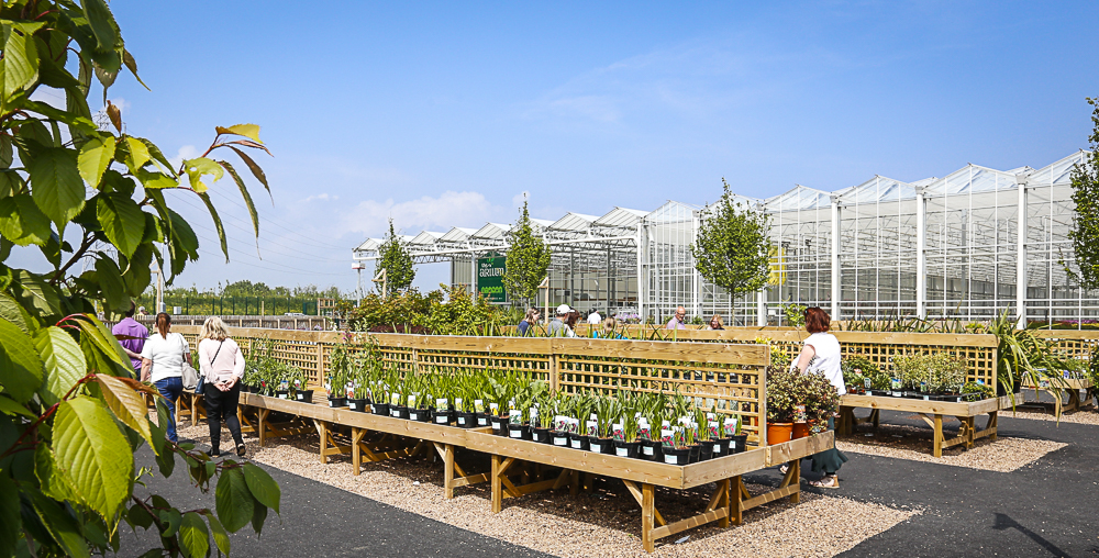 Gallery | The Arium | Leeds