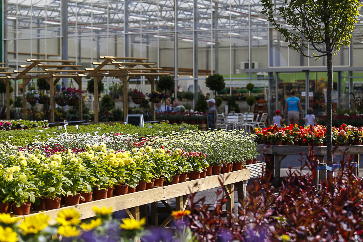 Gallery | The Arium | Leeds