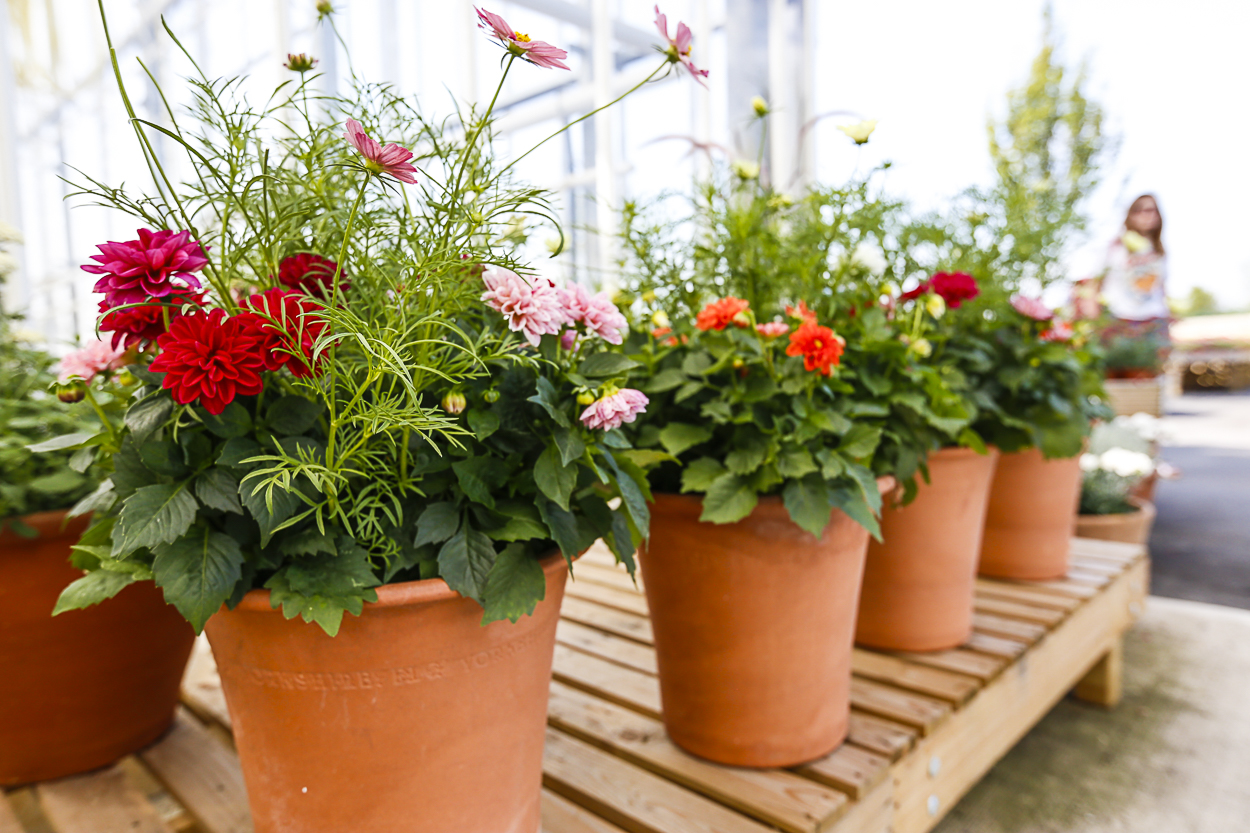 Gallery | The Arium | Leeds