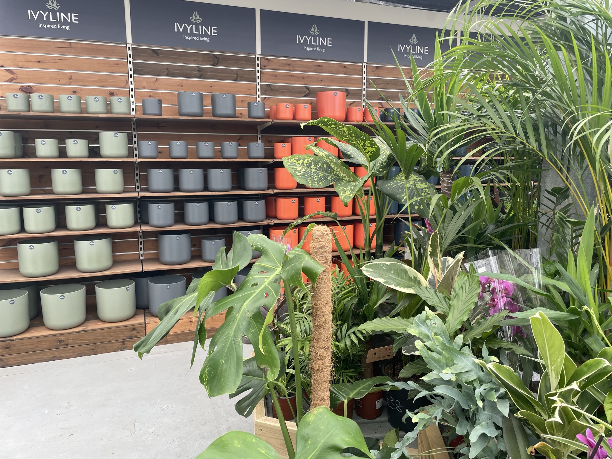 Gallery | The Arium | Leeds