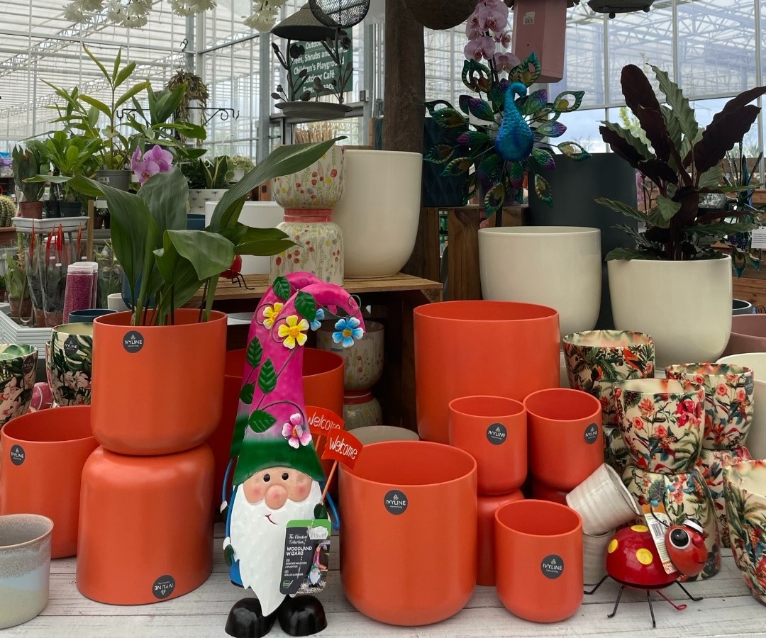 Gallery | The Arium Leeds