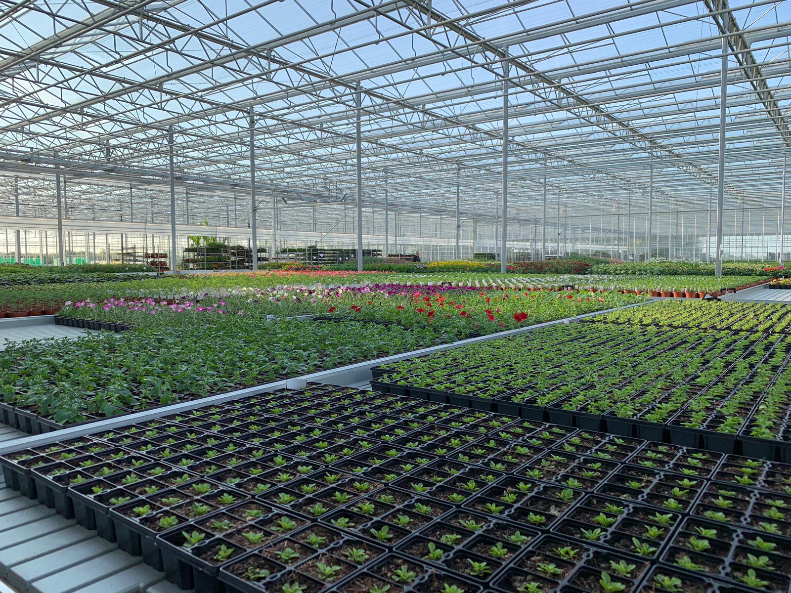 Gallery | The Arium | Leeds