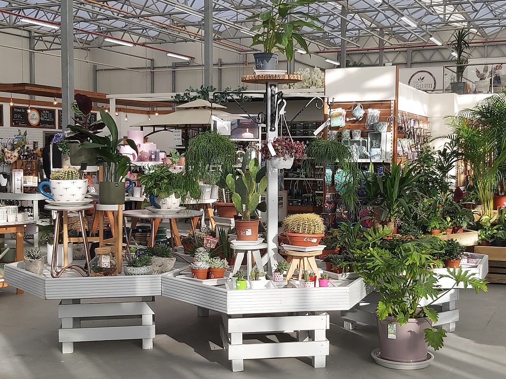 Gallery | The Arium Leeds